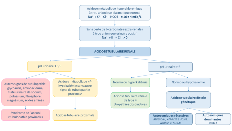 Acidose tubulaire rénale distale génétique - VIDAL